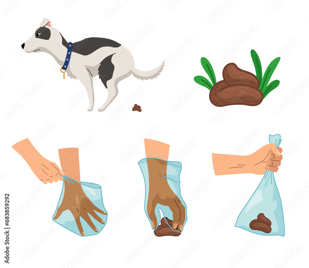 Dog poo clean up steps infographic set. poster about hygiene animal ...