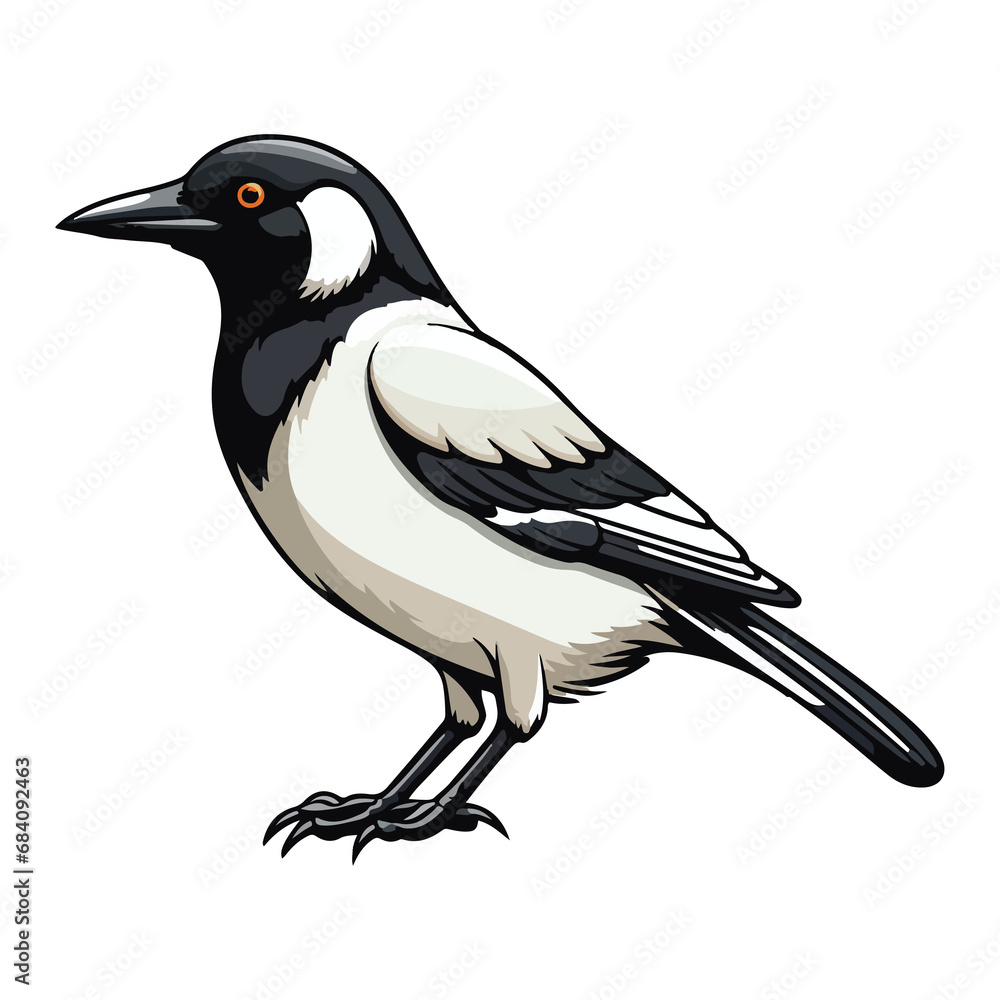 Magpie bird animal in cartoon style on transparent background, Magpie ...