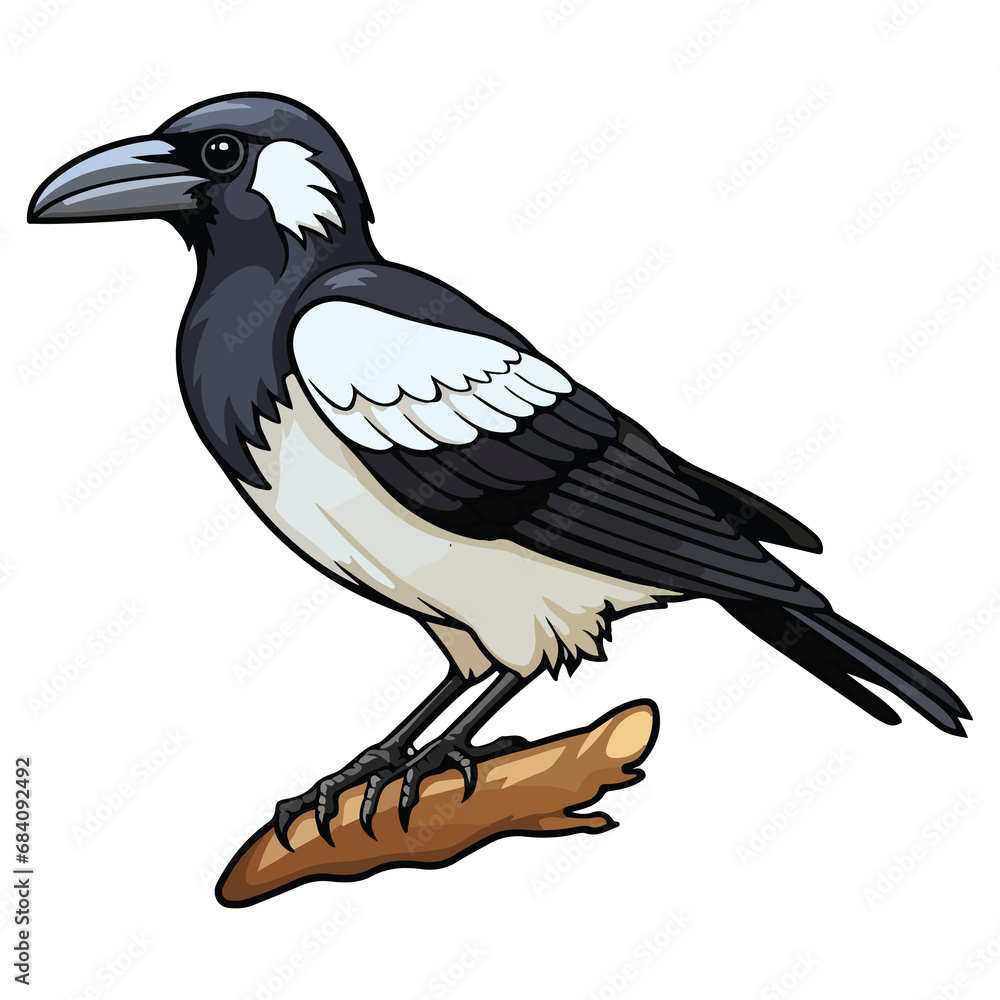 Magpie bird animal in cartoon style on transparent background, Magpie ...