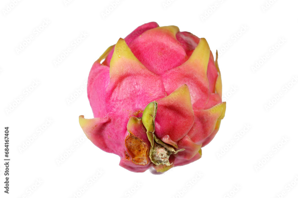 Dragon fruit, pitaya, pitahaya, fruit of the genus Selenicereus ...