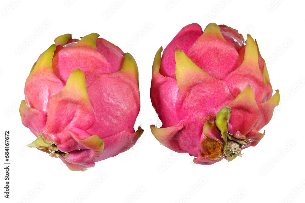 Dragon fruit, pitaya, pitahaya, fruit of the genus Selenicereus ...