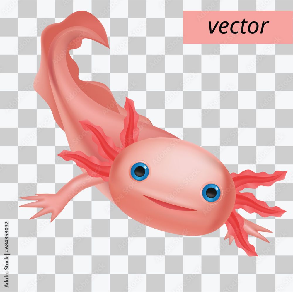 cute pink axolotl swimming transparent background vector 3d Stock ...