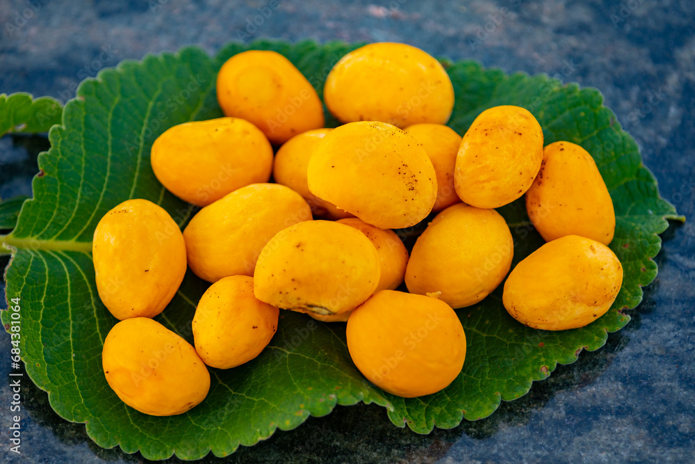 Typical ripe pequi fruit (caryocar brasiliense) in fine details and ...