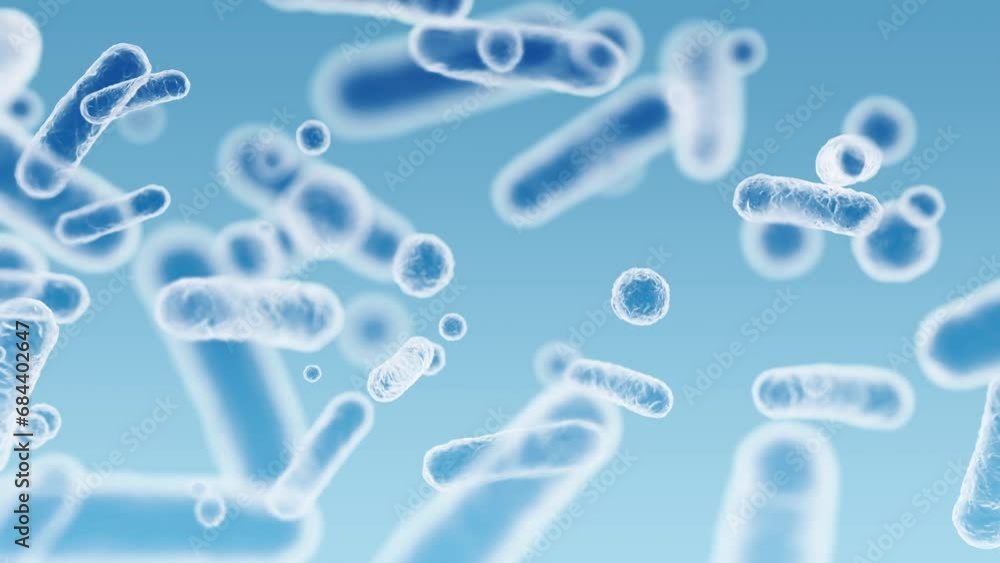 Enterobacteriaceae, gram-negative rod-shaped bacteria, part of ...