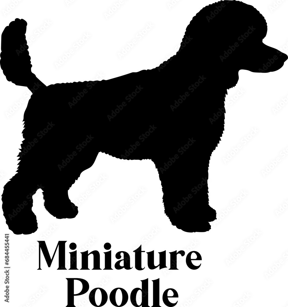 Miniature Poodle Dog silhouette dog breeds logo dog monogram logo dog ...