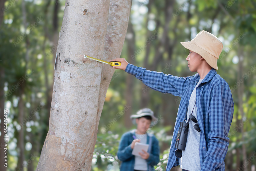 Young asian schoolboy measuring a size of tree trunk with a measuring ...