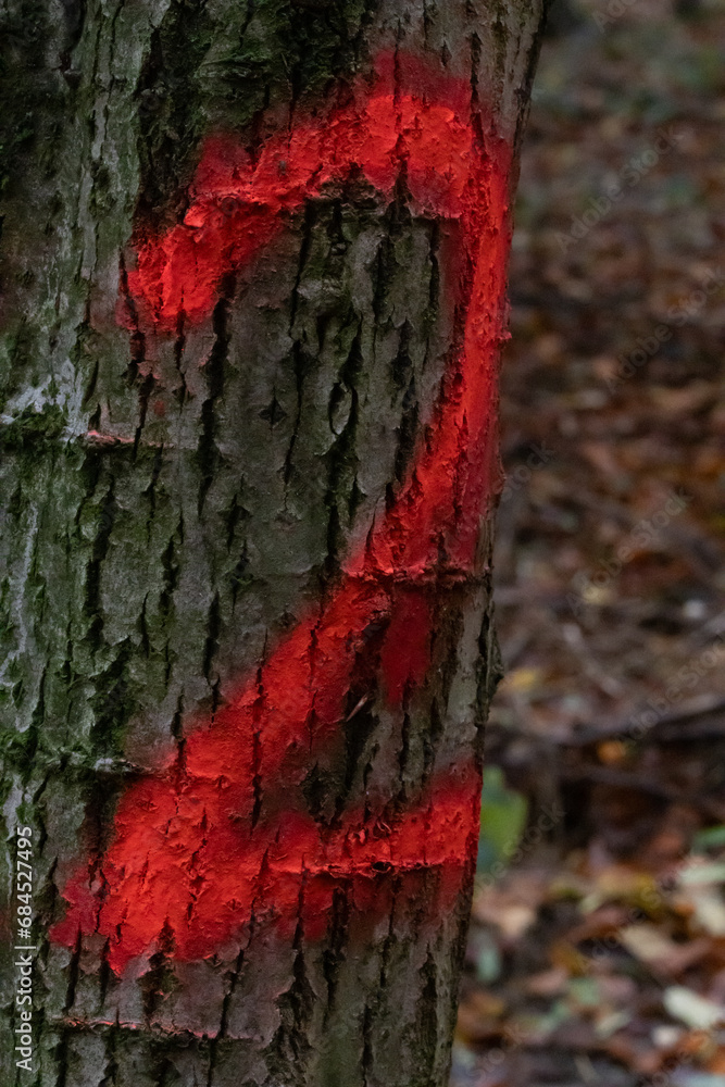 Detailaufnahme, eine rote zwei 2 auf einem Baumstamm im Wald zur ...