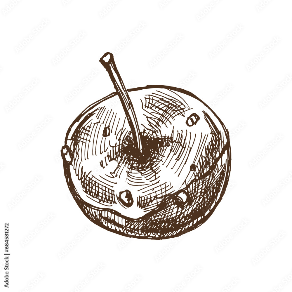 Hand-drawn sketch of Candy Taffy apples with nut sprinkles. Vector food ...