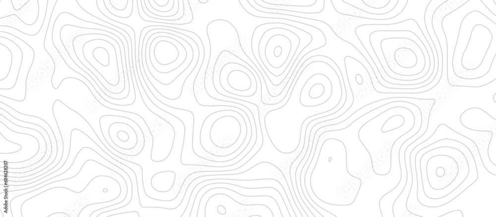 abstract backdrop ,topography and geography map grid .Vector contour ...