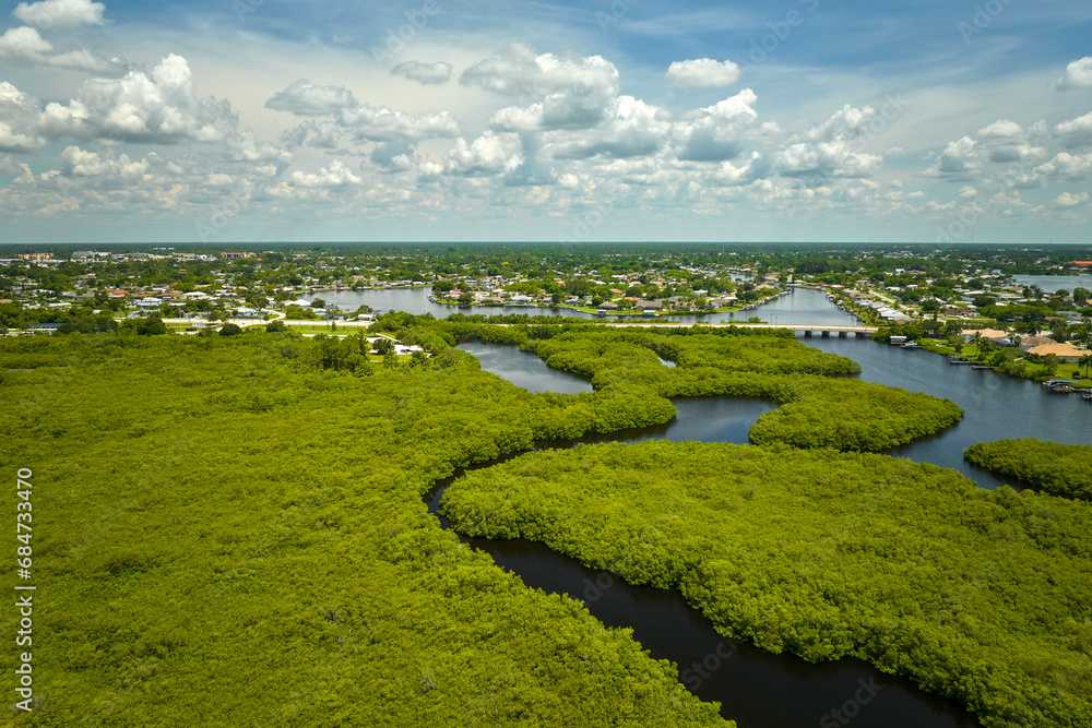 Foto de Overhead view of Everglades swamp with green vegetation between ...