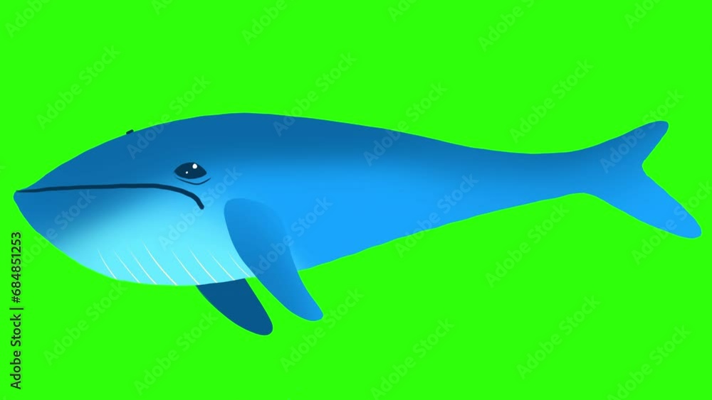 A cartoon blue whale swims on a green screen. Cute ocean character ...