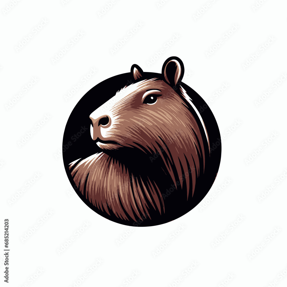 photos of the capybara or greater capybara, the largest living rodent, capybara illustrations ...