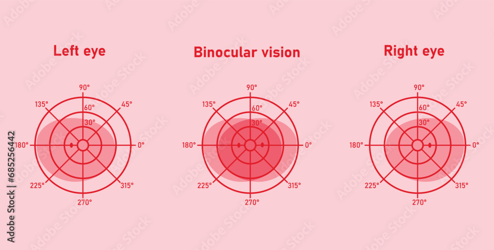 The visual field of the left and right eye. Binocular fusion and depth ...