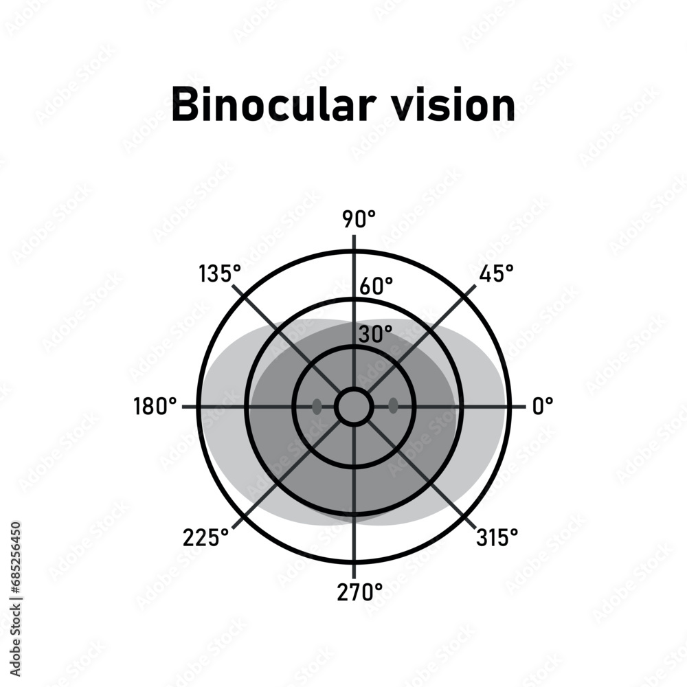 The visual field of the left and right eye. Binocular fusion and depth ...