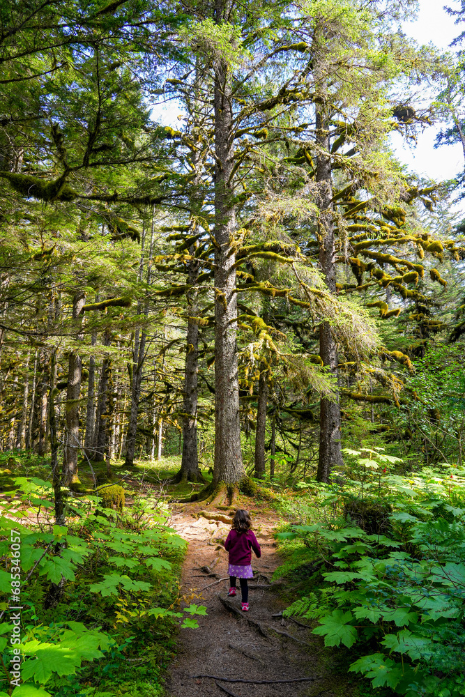 Little girl walking of a trail by a moss-covered Sitka Spruce Tree in ...