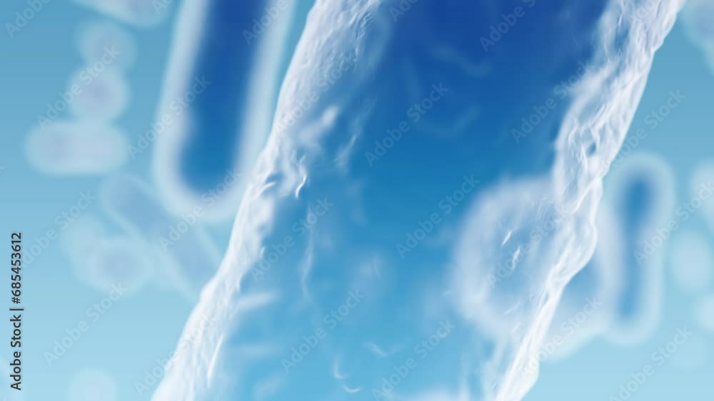 Enterobacteriaceae, gram-negative rod-shaped bacteria, part of ...