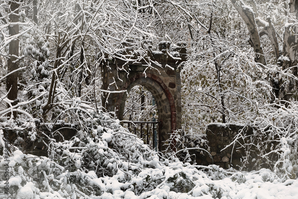 Snow covered Branches - Gate - Door - Entrance - Entry - Winter - Cold ...