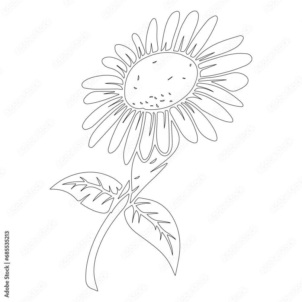 These designs can be used for various purposes which are perfect on t ...