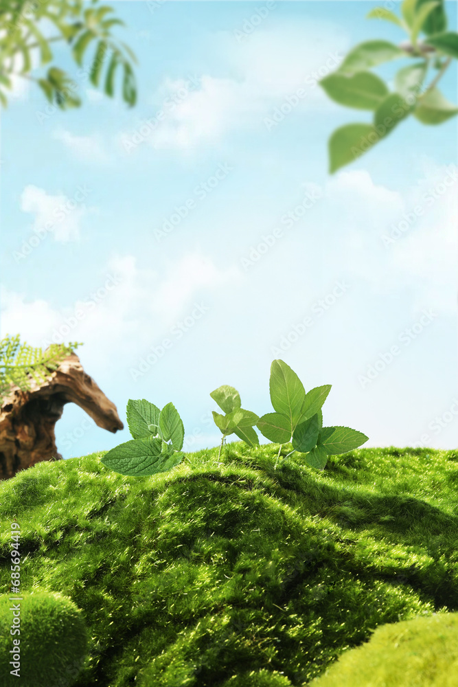 Product branding backdrops, Commercial product photography backdrop ...