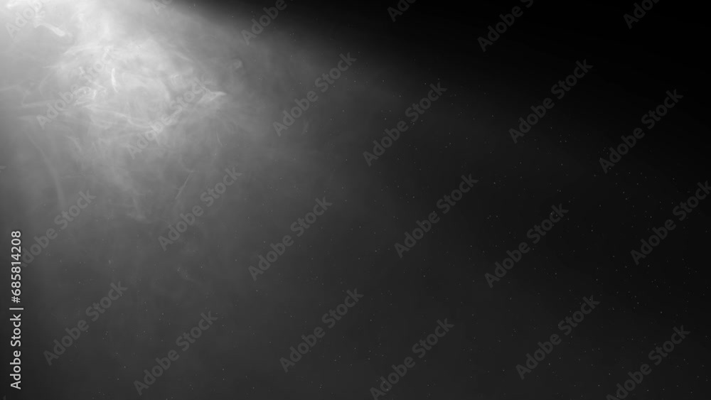 Soft Perspective Sun Light Rays Overlays. Loop ready clips for ...