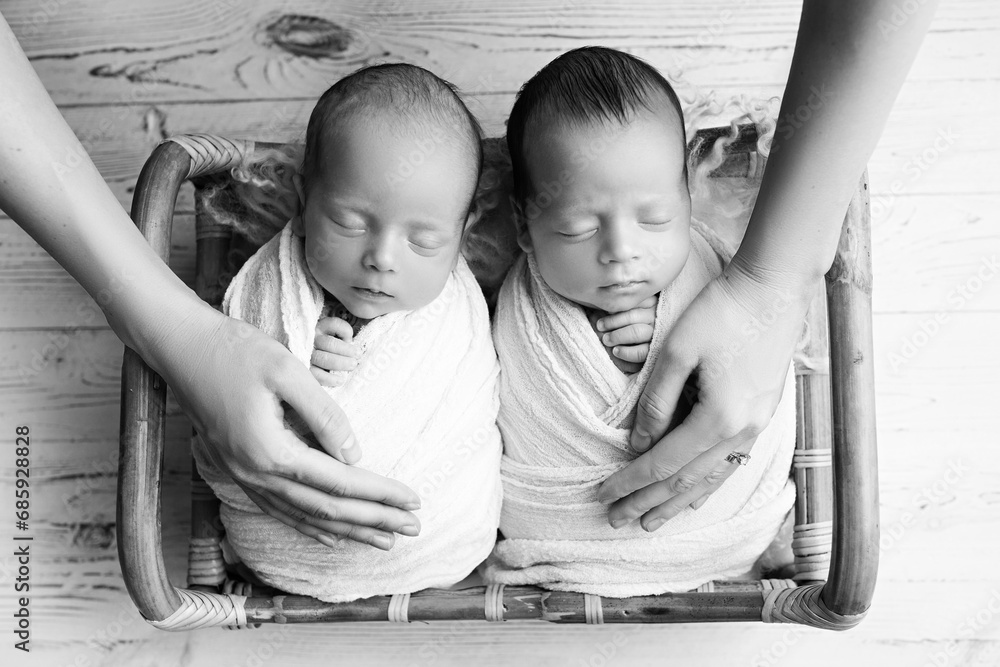 Tiny newborn twins boys in white cocoons in a wooden basket against a ...