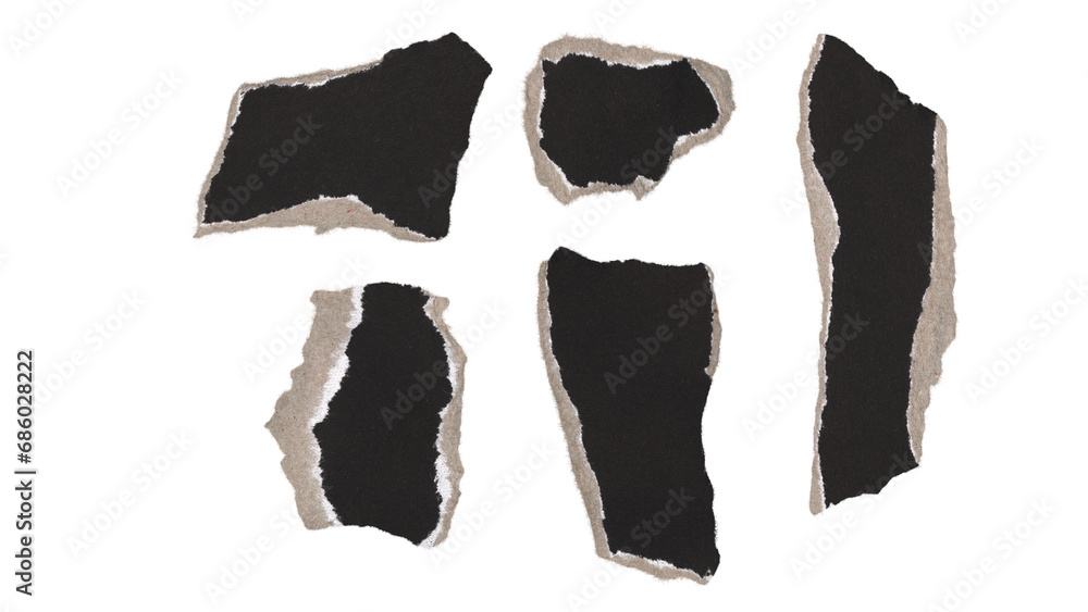 Set of torn and ripped paper pieces, fragments with double edges from ...