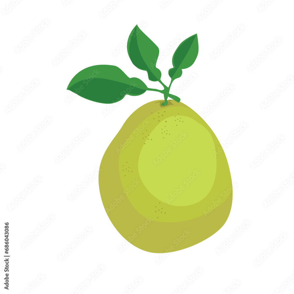 Pomelo vector illustration in cartoon style. Shaddock fruit with green ...