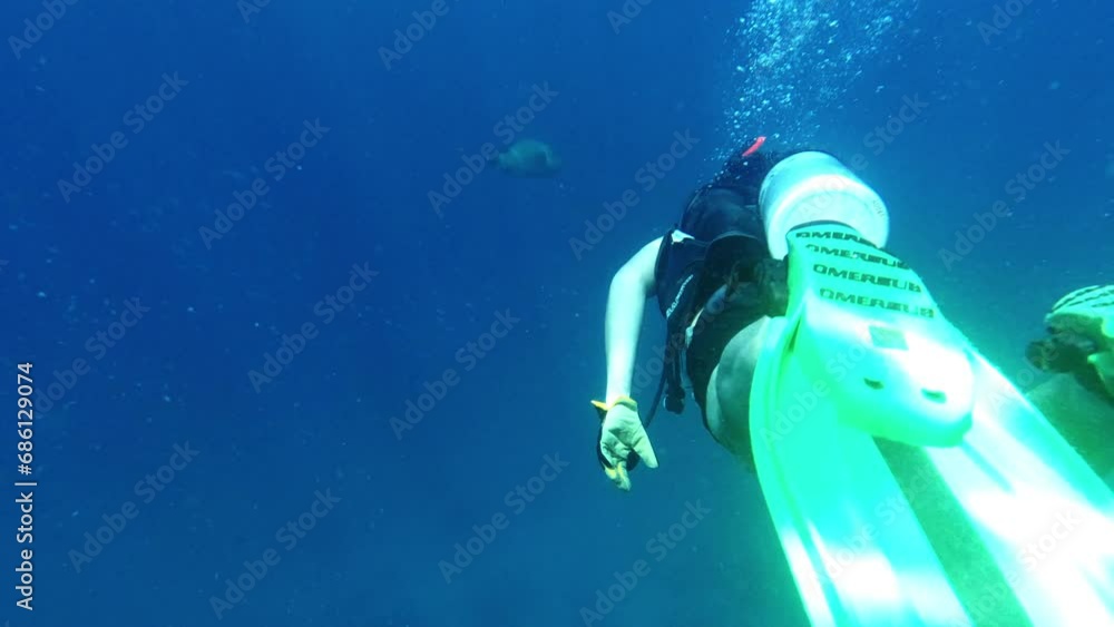 Scuba diving, swimming in deep sea and fish for tourist adventure ...
