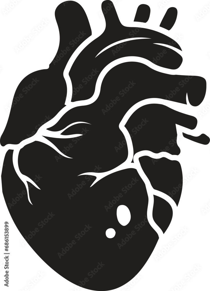 Human heart anatomically correct hand drawn line art and dotwork. Flash ...