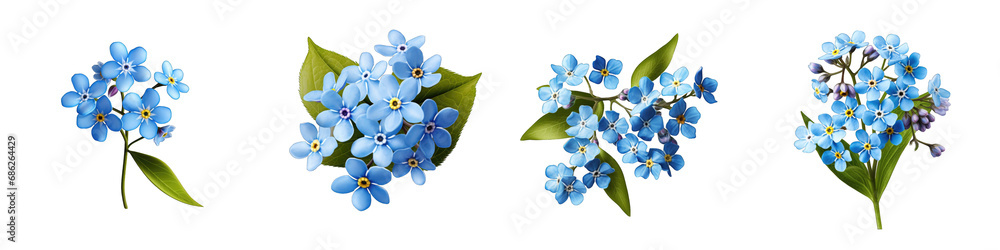 Forget-Me-Not flower clipart collection, vector, icons isolated on ...