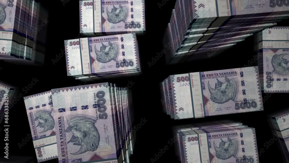 Tanzania money Tanzanian shilling money pack loop. Flight over TZS ...