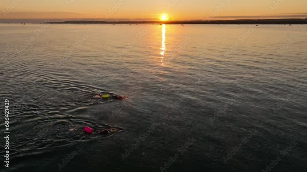 Sunrise swimming long distance on a lake across big body of water with ...