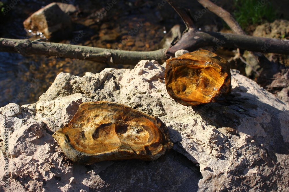 Fragments of patterned flint nodules found in the stream Stock Photo ...