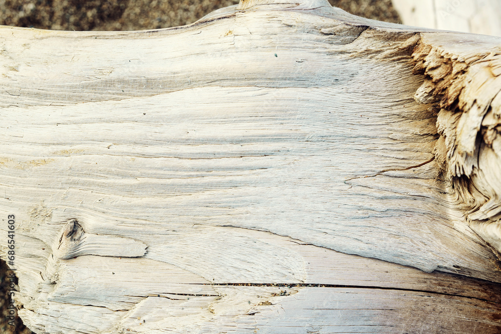 decorative wood structure with fibers, parts of the tree trunk ...
