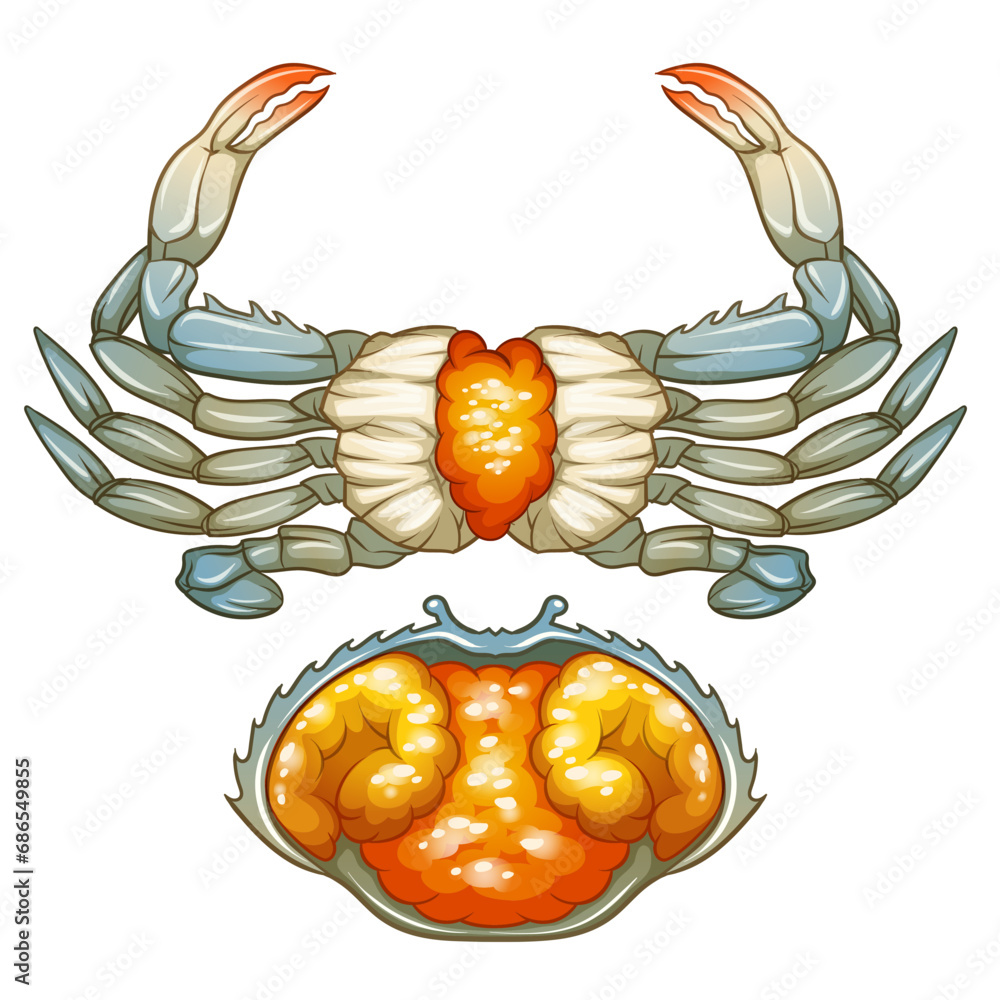 Seafood Raw crab isolated on white background. Hand drawn sketch of ...