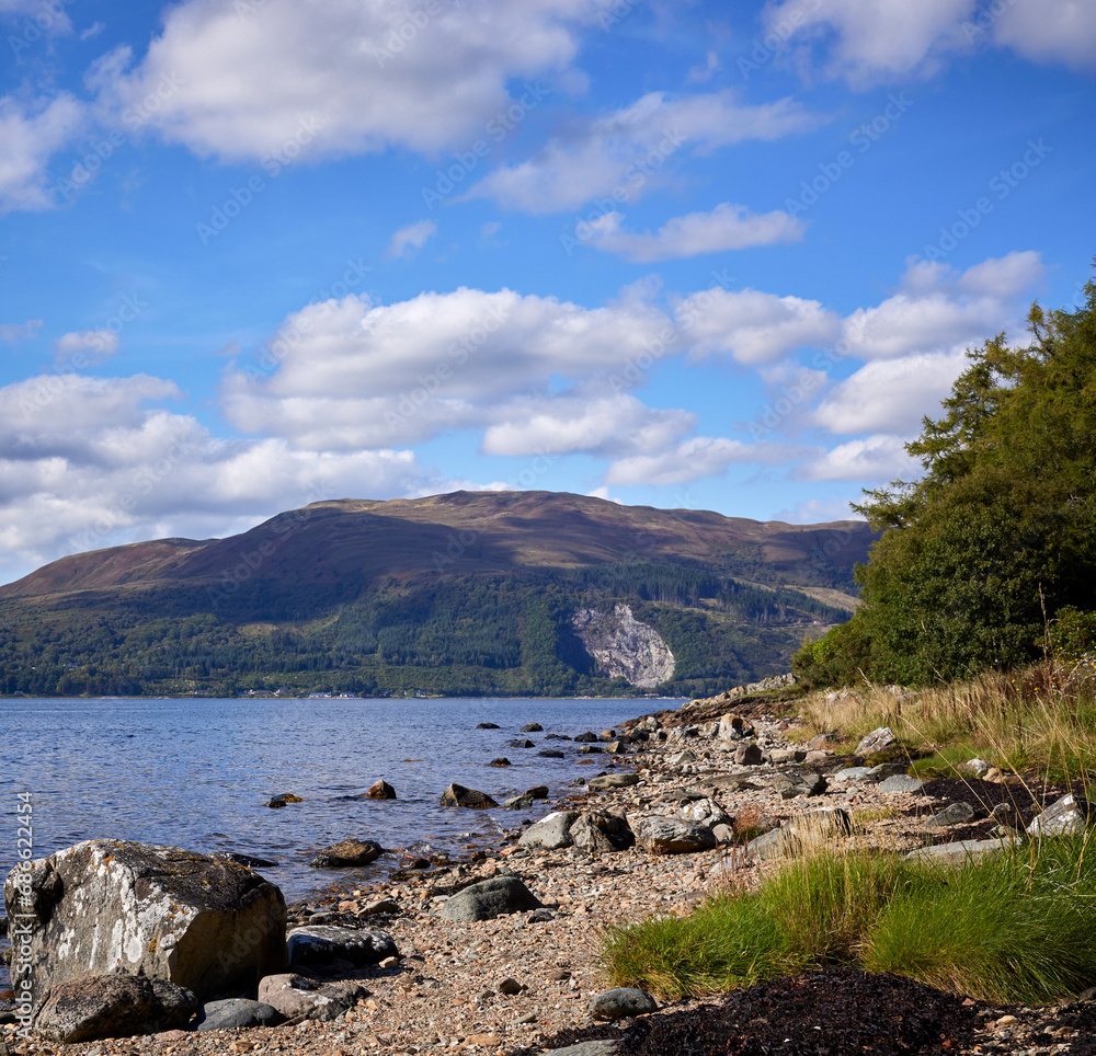 In the foreground of the rock strewn beach, a patch of dried seaweed ...