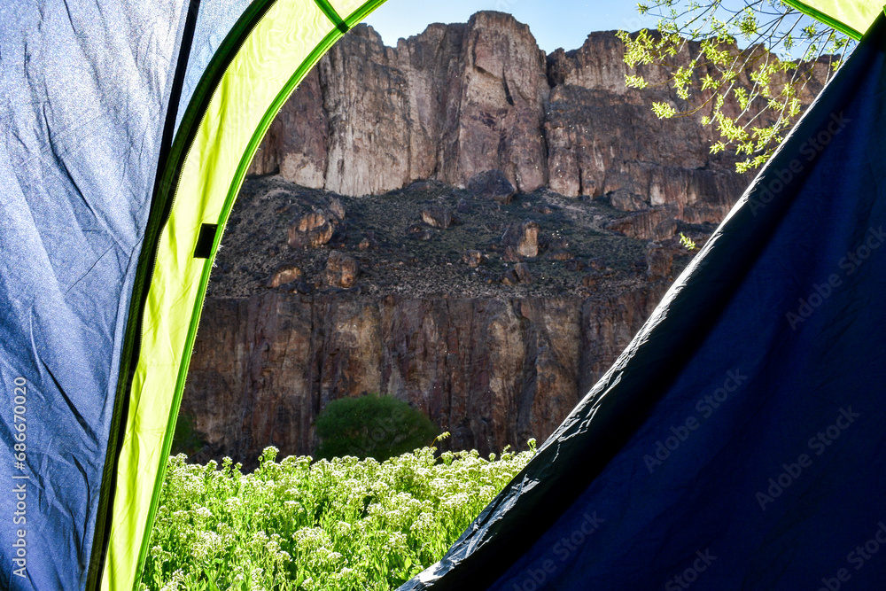 Avisaje de fauna y paisajes de la Patagonia Argentina Stock Photo ... Avisaje de fauna y paisajes de la Patagonia Argentina Stock Photo ...