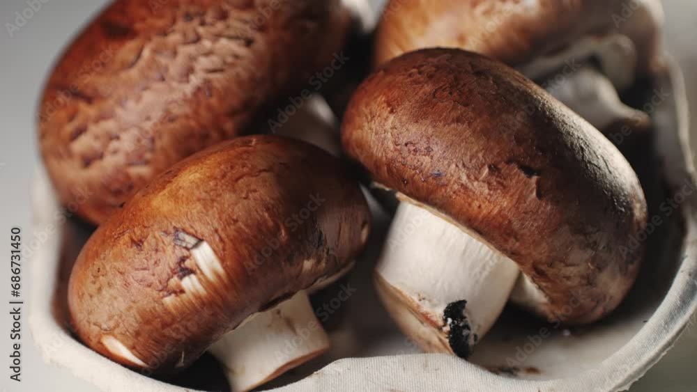 Vidéo Stock Fresh champignon mushrooms big portobello, macro, side view ...