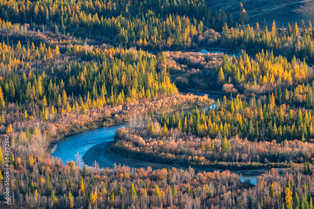 Autumn landscape of Kurai steppe with Chuya river, mountain forest of ...