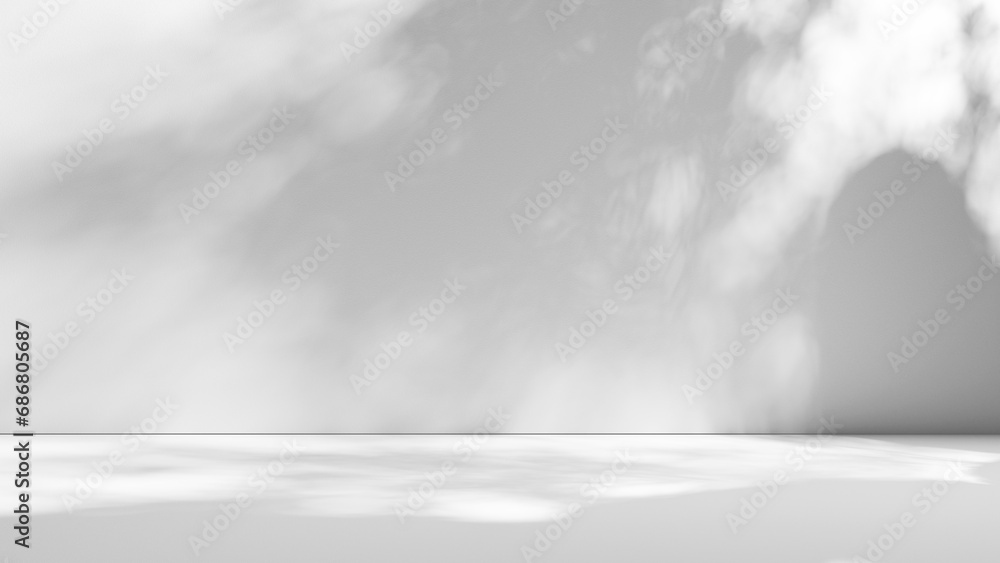 White empty studio room wall and floor stage with white plaster wall ...