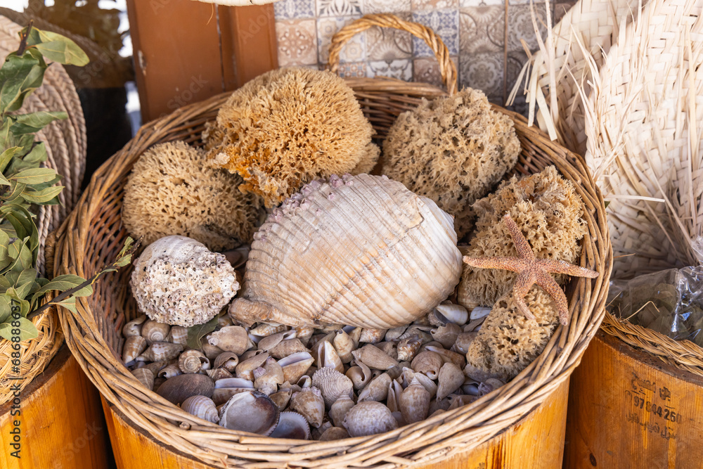 Sea shells and natural sponges in a market at the Houmt Souk. Stock ...