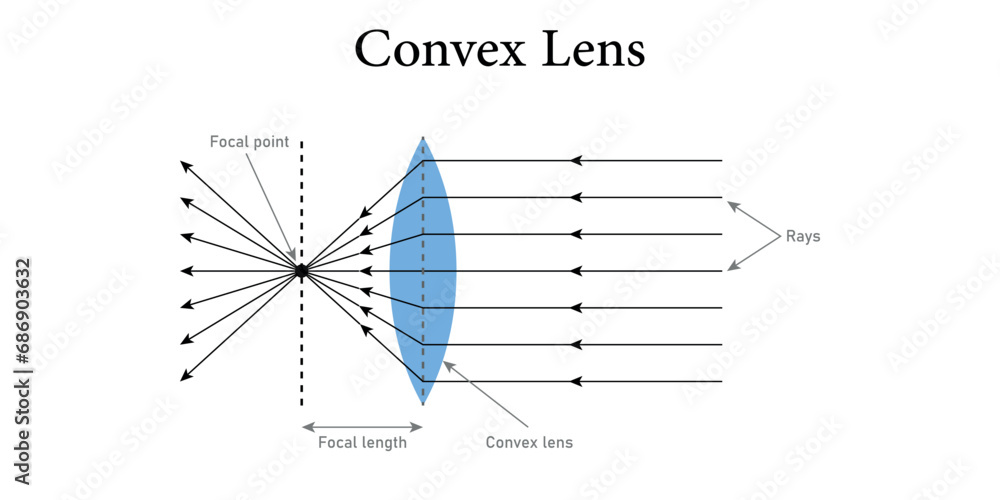 Convex lens diagram. Incident and refracted ray. Beam of light through ...