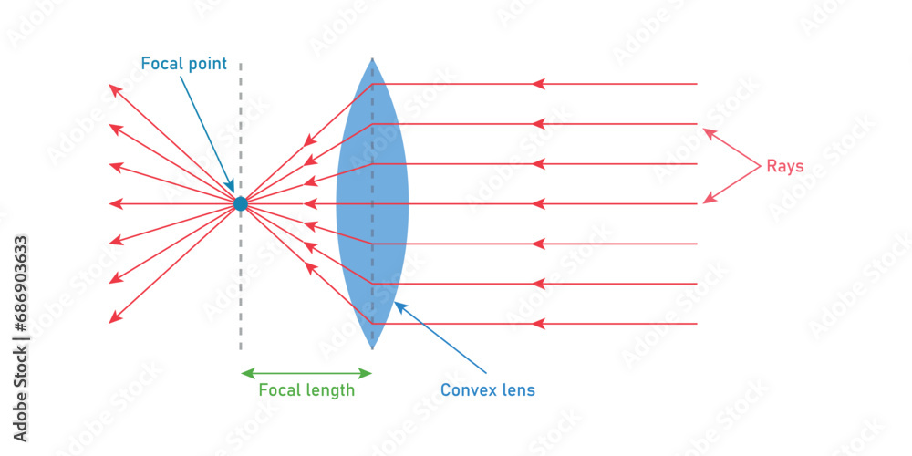 Convex lens diagram. Incident and refracted ray. Beam of light through ...