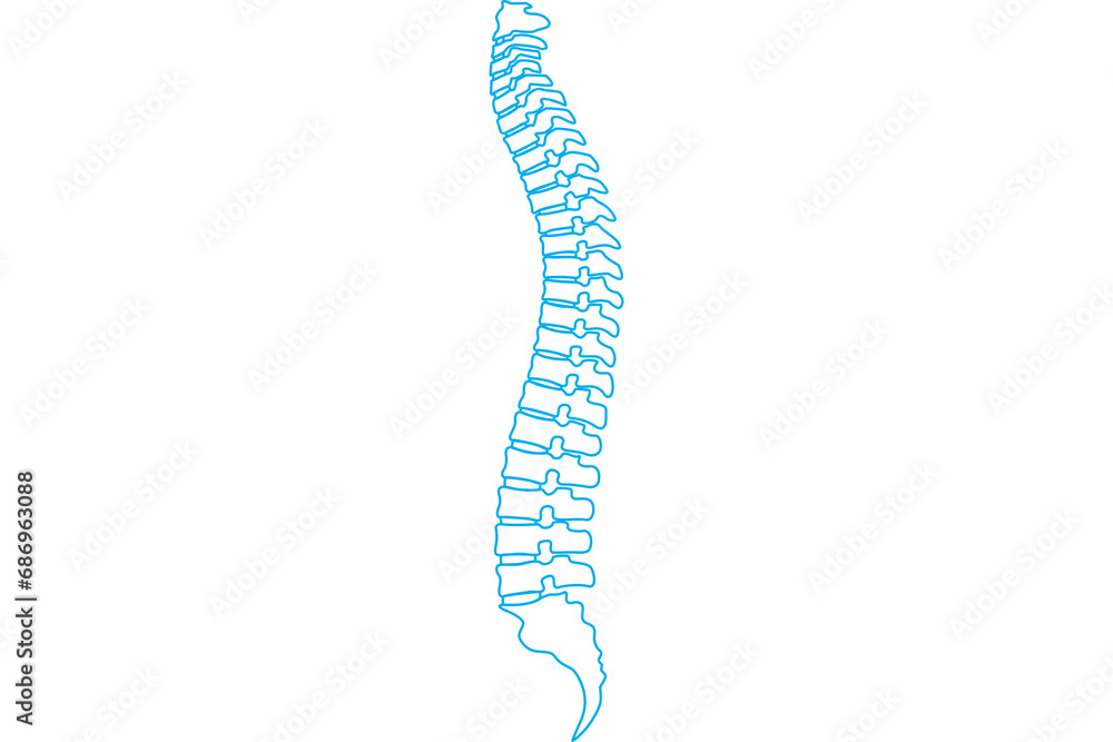 Digital png illustration of blue human spine on transparent background ...