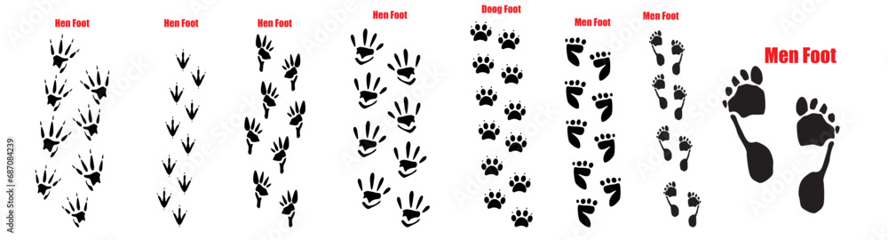 Animals human footprints. Prints animal bird paw, wildlife foot icon ...