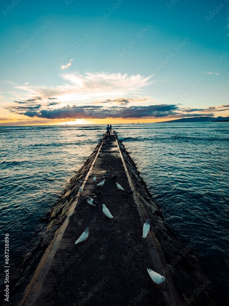 Amidst the breathtaking backdrop of a hawaiian horizon, a flock of ...
