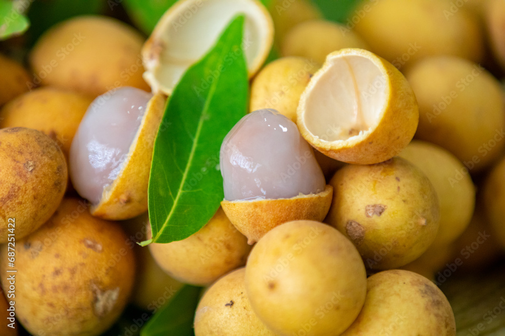 Ripe Pitomba fruits (talisia esculenta), an exotic fruit from the ...