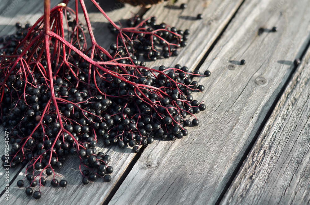 Cluster of ripe European black elderberry on an old gray wooden ...