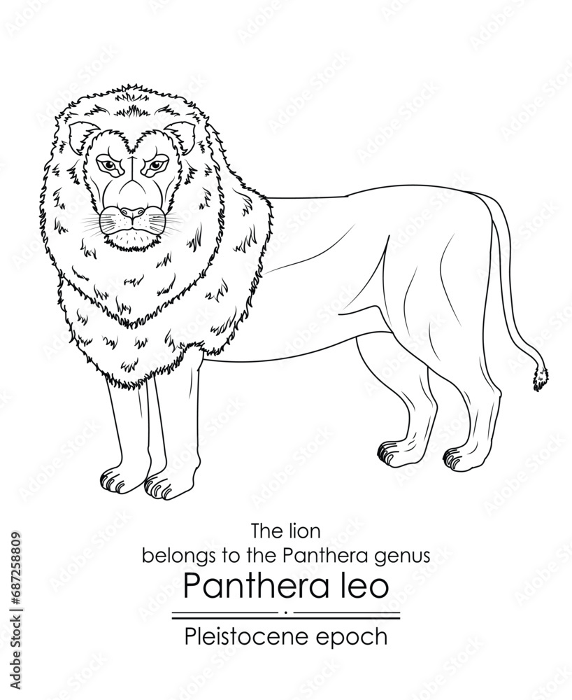 The lion belongs to the Panthera genus and first appeared in the ...