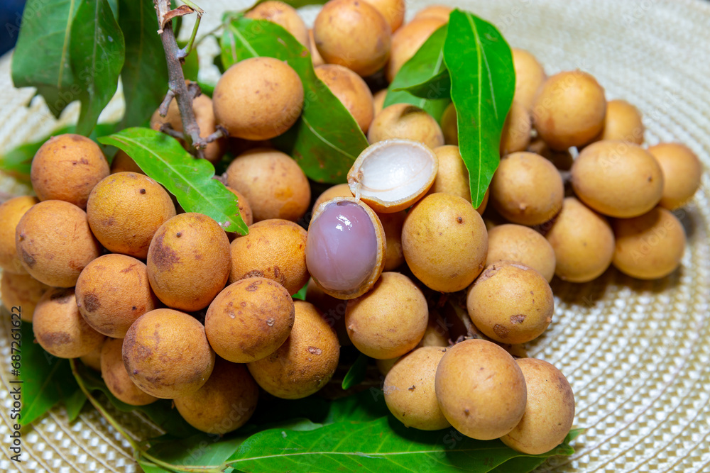 Ripe Pitomba fruits (talisia esculenta), an exotic fruit from the ...